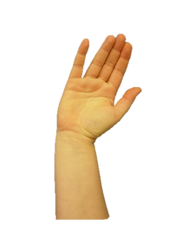 Active wrist exercises — Chelsea and Westminster Hospital NHS ...